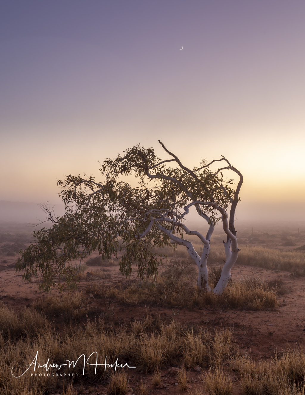 August 2019 - - 2wander-yonder