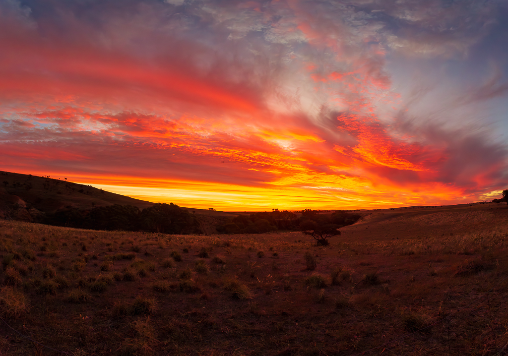 January 2024 - - 2wander-yonder